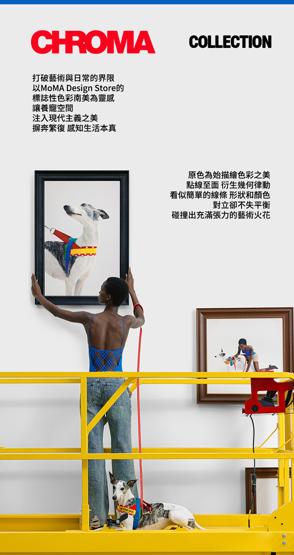 Vetreska 未卡 Chroma胸背帶牽引繩套裝 (兩色) - PChome 24h購物